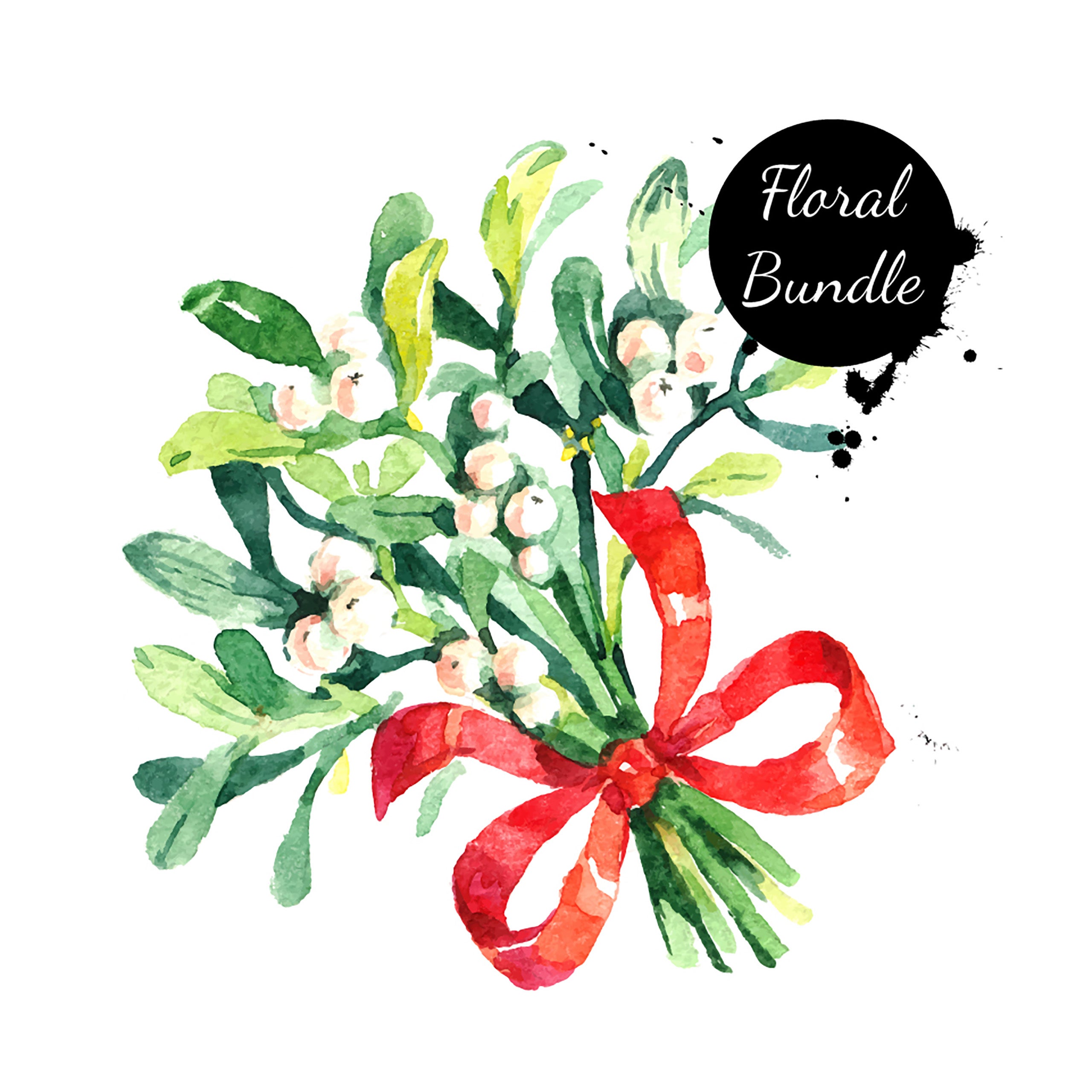 Koroneiki | Natchez Olive Market