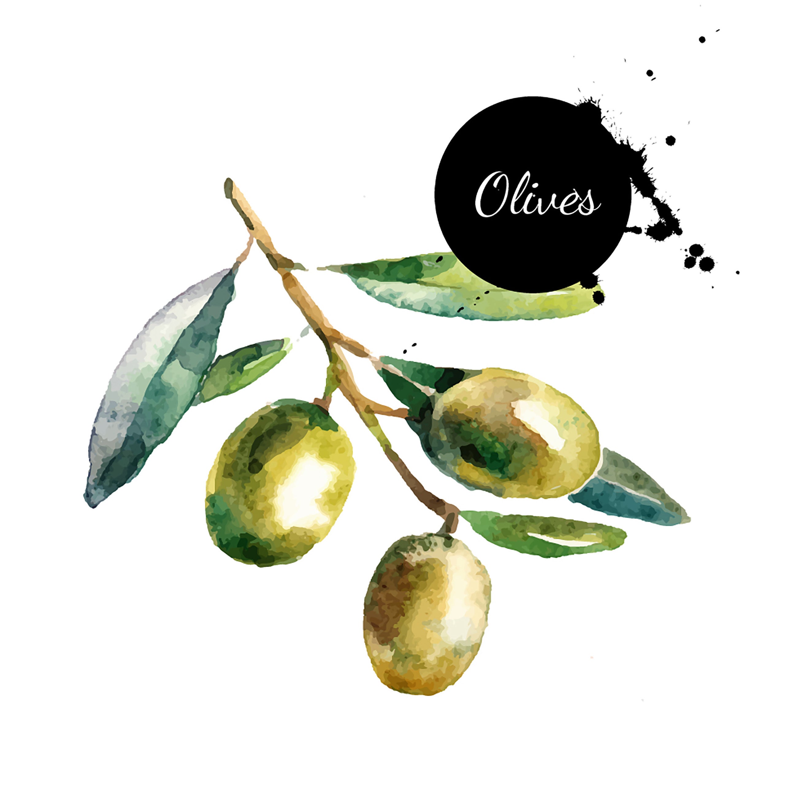Barnea | Natchez Olive Market